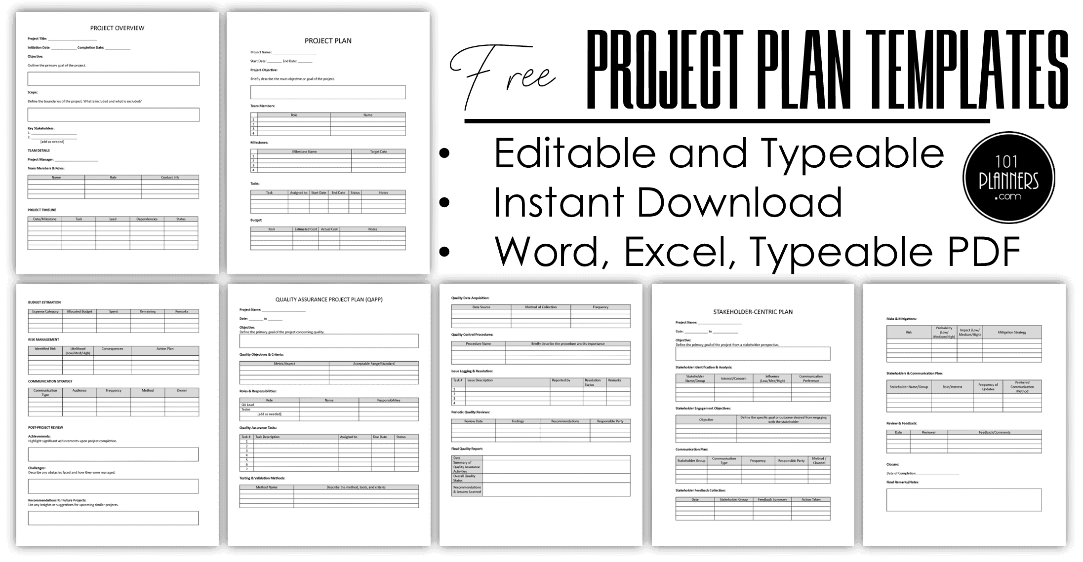 FREE Editable Project Plan Template | Word, Excel, Typeable PDF